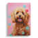 Marlow Home Co. Cockapoo Bubble Gum Painting No.2 - Wrapped Canvas Art ...
