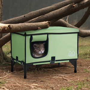 Tucker Murphy Pet™ Elevated Heated Cat House Cuboid Kitty Shelter with ...