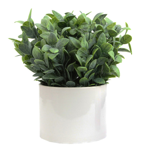 Gracie Oaks Artificial Frosted Ruscus Floral Arrangements and ...