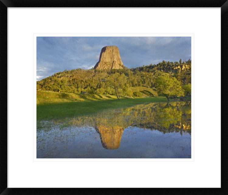 Global Gallery 'Devils Tower National Monument Showing Famous Basalt ...