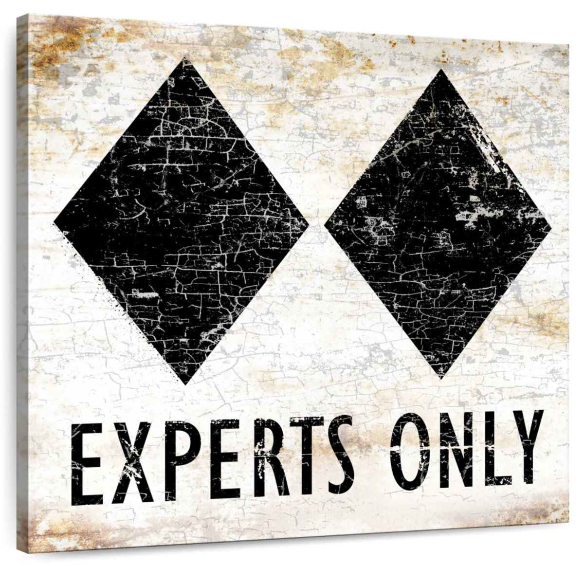 Trinx Khylige Experts Only Sign - Wayfair Canada