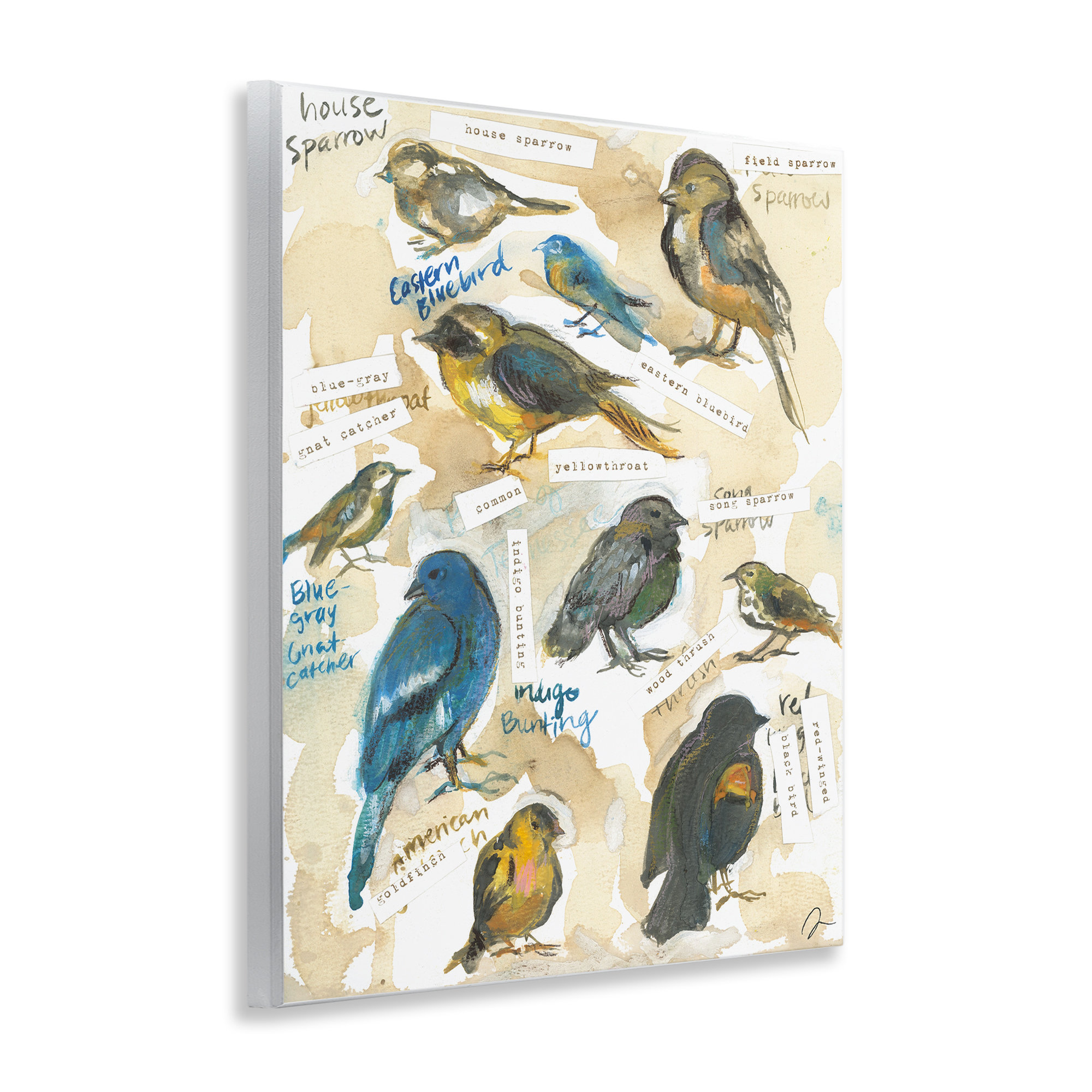 Ophelia & Co. Backyard Birds Identities Wall Plaque Art, design by ...