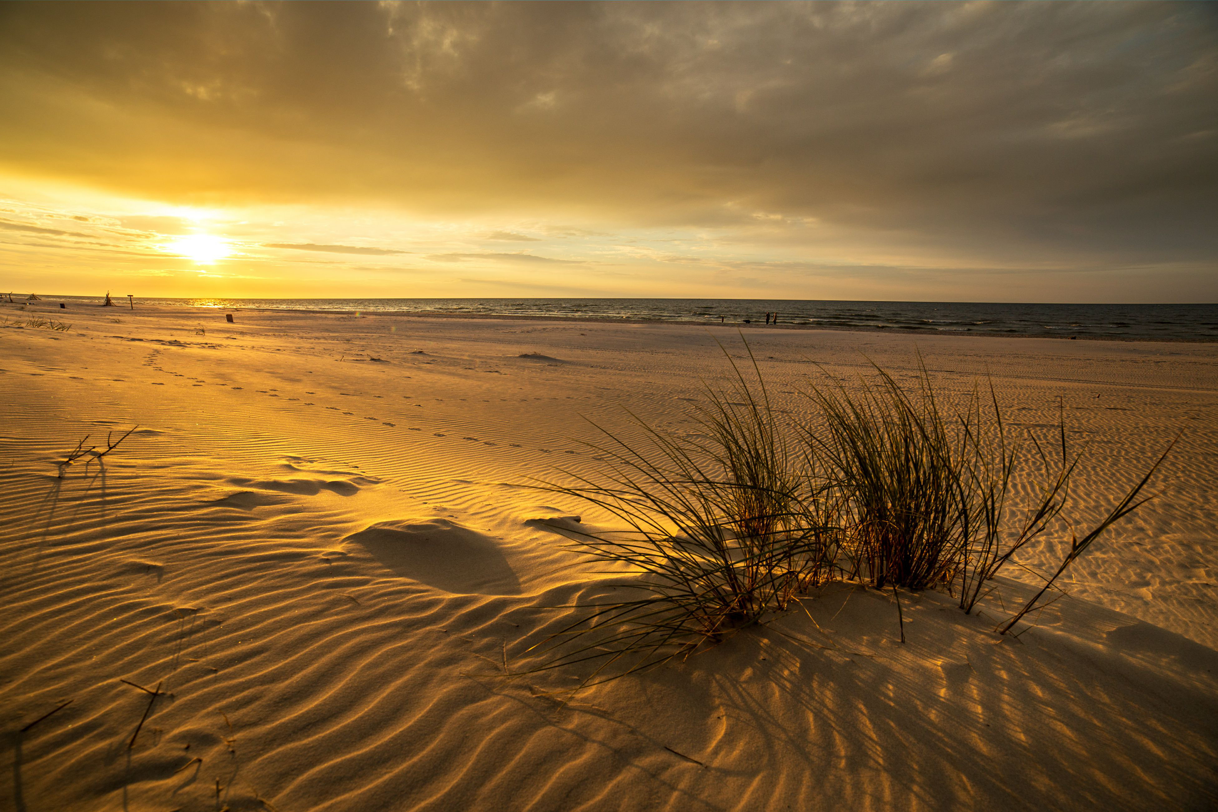 Highland Dunes Sand Dunes on Beach by Maniscule - Wrapped Canvas ...