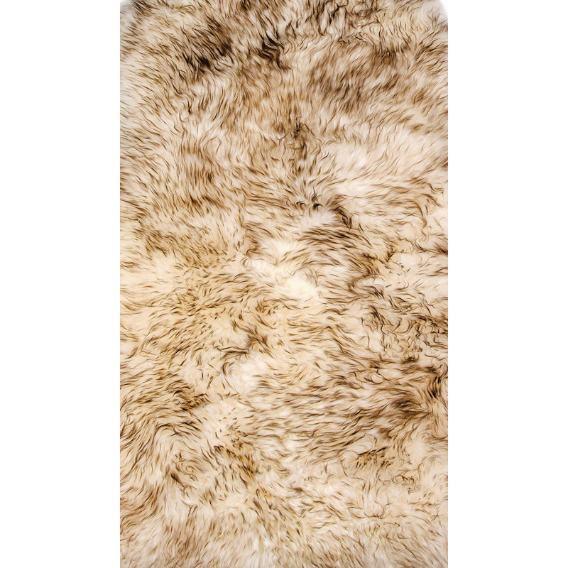 Mercer41 Rectangle Giovana Handmade Sheepskin Sheepskin Area Rug in ...