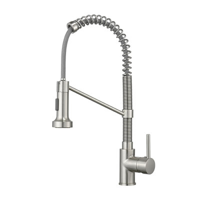 January Furniture Pull Down Kitchen Faucet | Wayfair