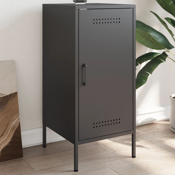 DEvidaxl Steel Rectangle Accent Cabinet | Wayfair.co.uk