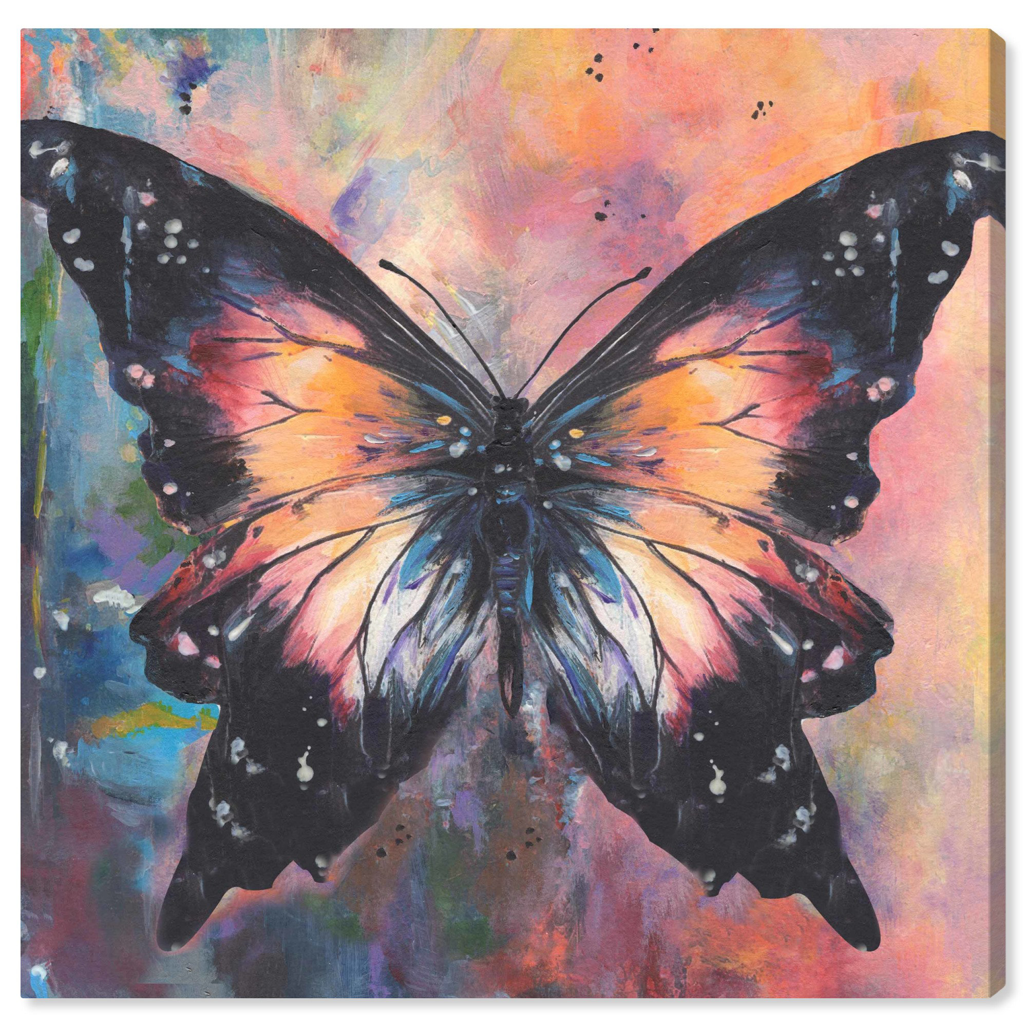 Everly Quinn Soft Rainbow Butterfly Canvas Butterfly Art Prints by ...