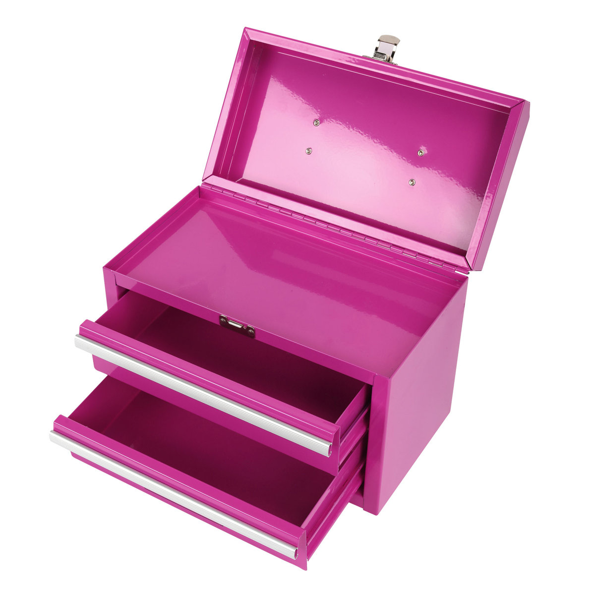 The Original Pink Box 11" Portable Tool Box & Reviews | Wayfair