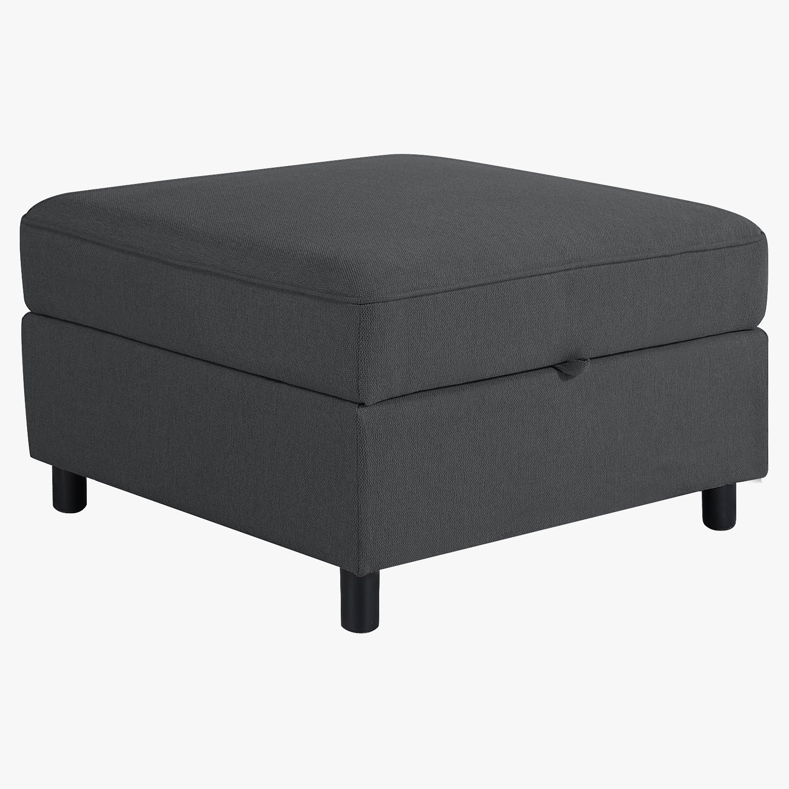 Ebern Designs Jalyza 29" Wide Upholstered Storage Ottoman & Reviews ...