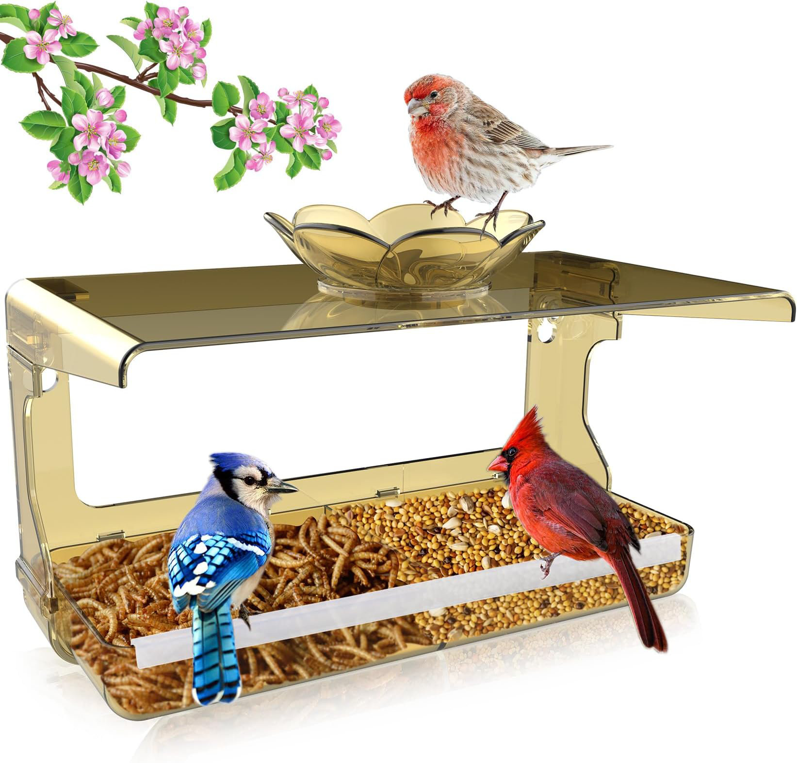 Arlmont & Co. Staebell Window Tray Bird Feeder | Wayfair