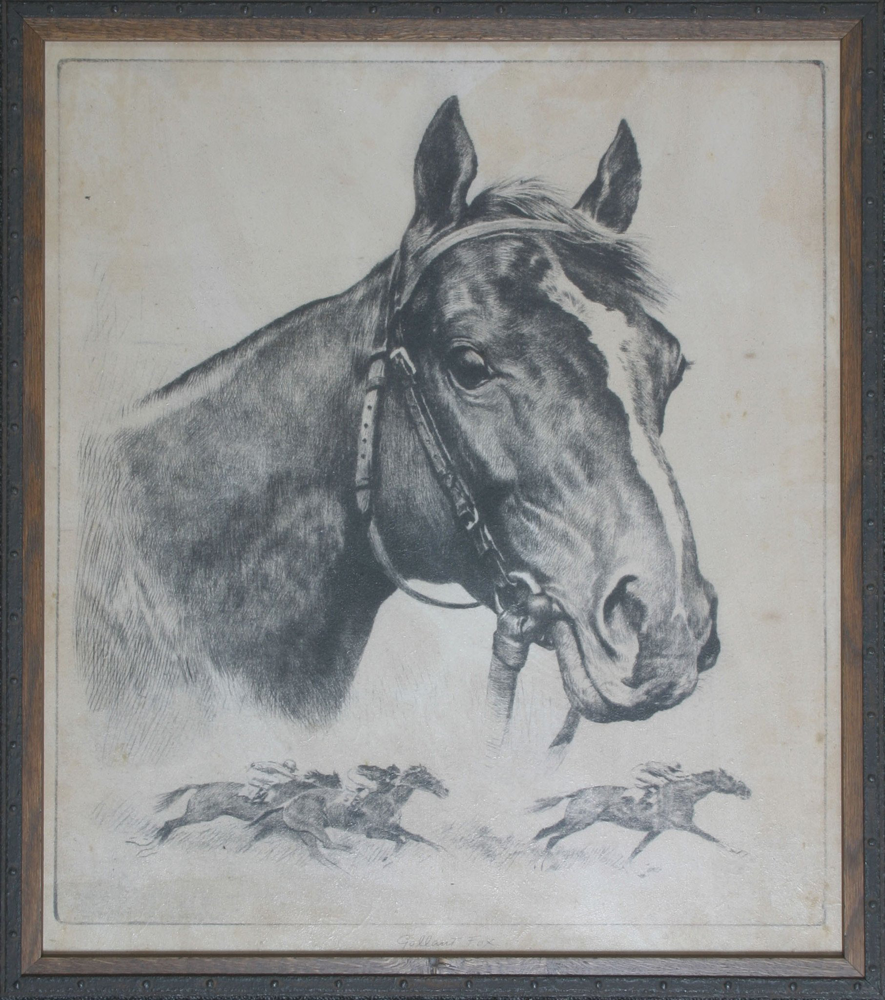 Shadow Catchers 'Gallant Fox' Framed Drawing Print on Canvas | Wayfair