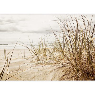 beach wallpaper borders