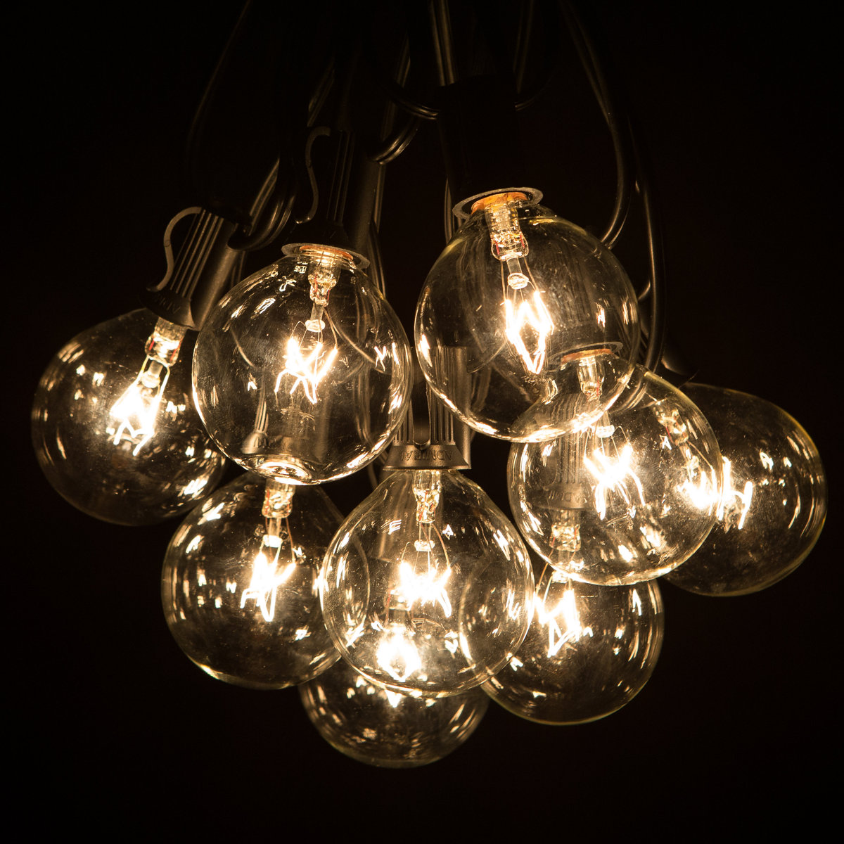 Arlmont & Co. Renfro 25'' Outdoor 25 - Bulb Globe String Light (End to ...