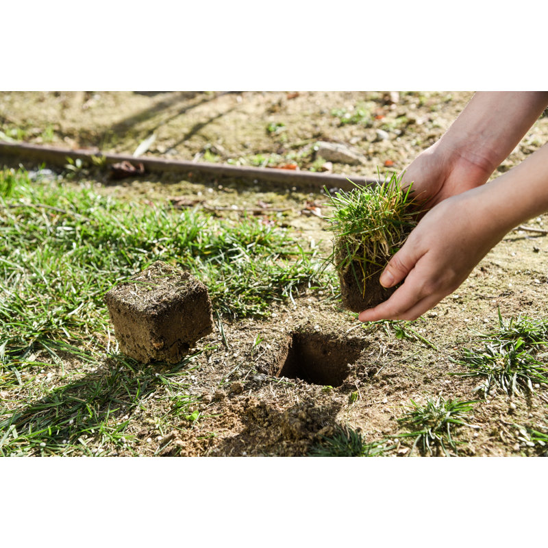 Yard Butler Turf Cutter Sod Plugger Tool | Wayfair