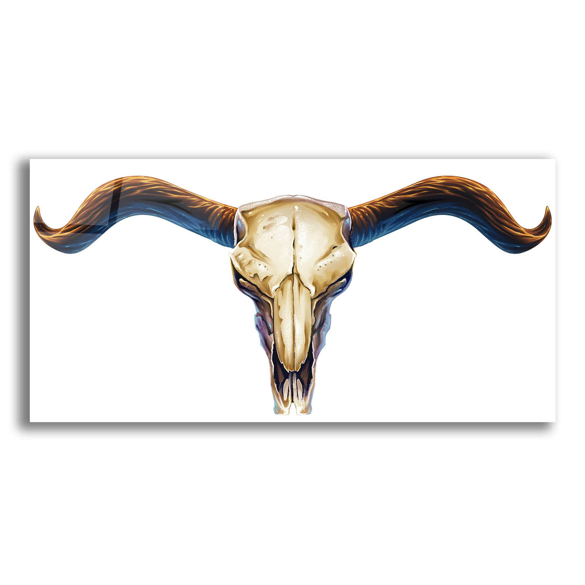 Union Rustic Steer Skull 02 On Plastic / Acrylic by Flyland Designs ...