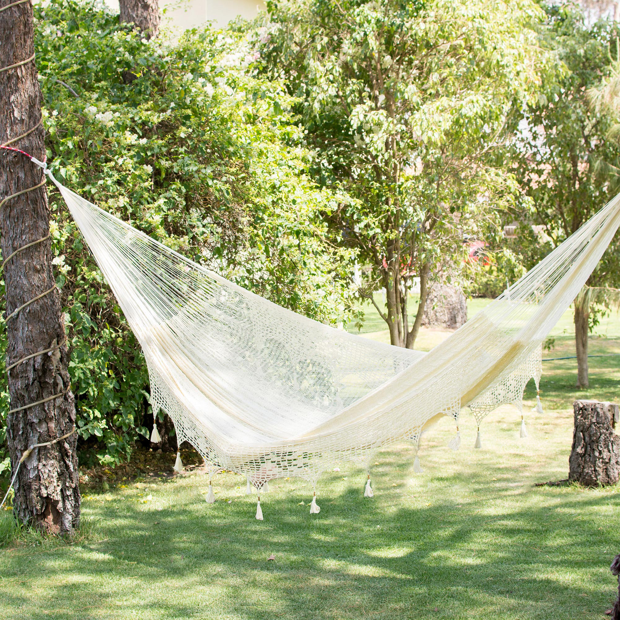 Dakota Fields Philippa Classic Hammock | Wayfair