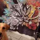 Langley Street® Eccles Single Shower Curtain & Reviews | Wayfair