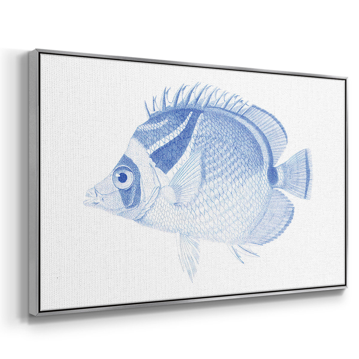 Wexford Home Blue And White Tropical Fish IV Framed On Canvas Print ...