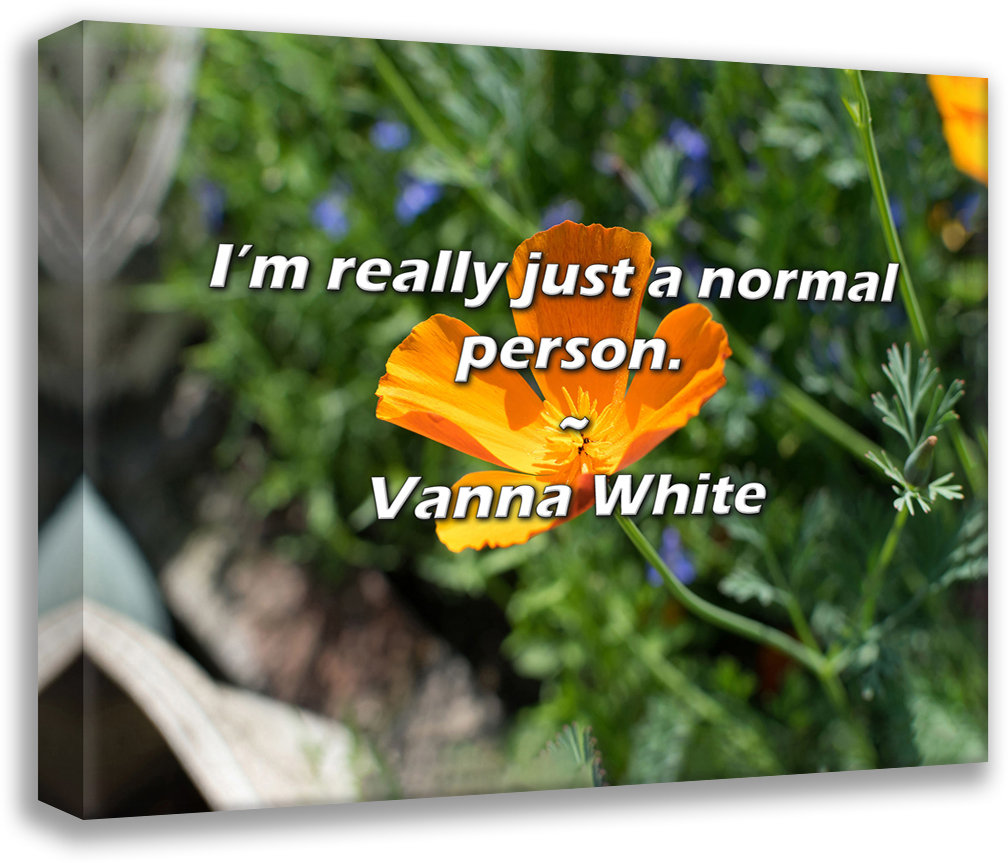 Trinx Vanna White Quote: I’m really just a normal person. | Wayfair
