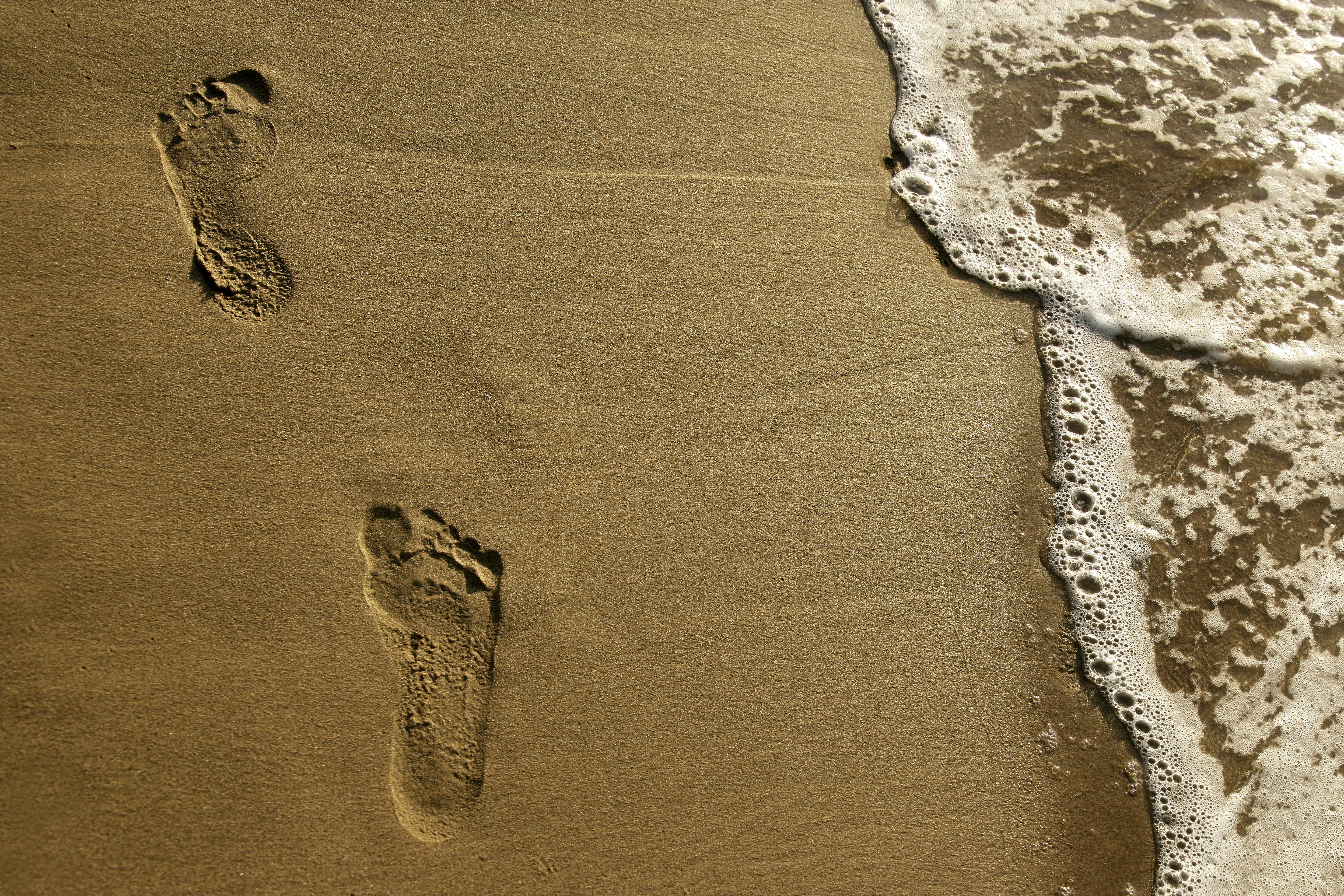 House of Hampton Footprints on beach | Wayfair.ie