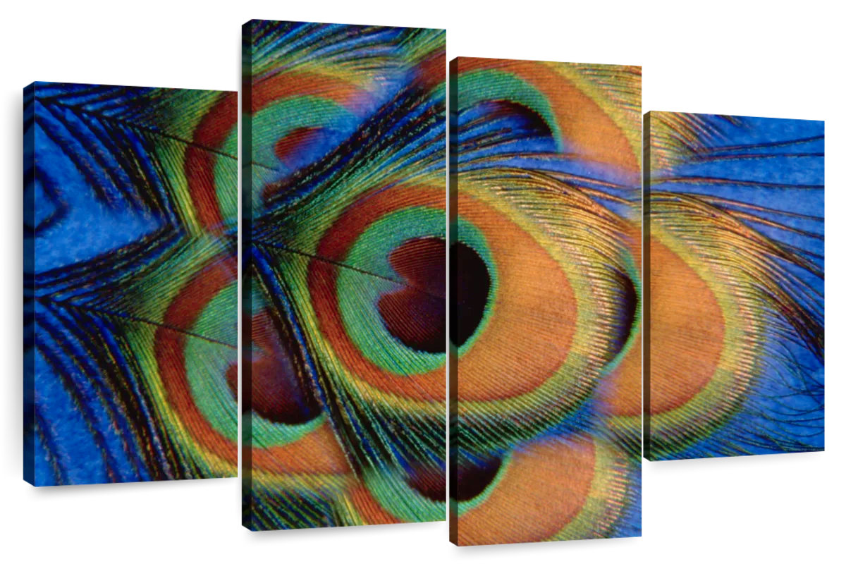 Ebern Designs Brampt Peacock Feather Stack | Wayfair