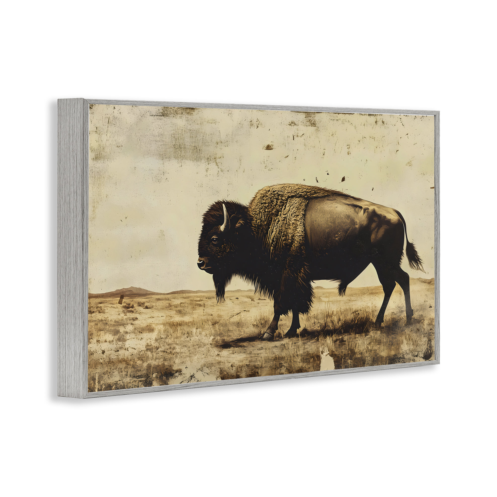 Union Rustic Rustic Lone Buffalo Framed Giclee, design by Franklyn ...