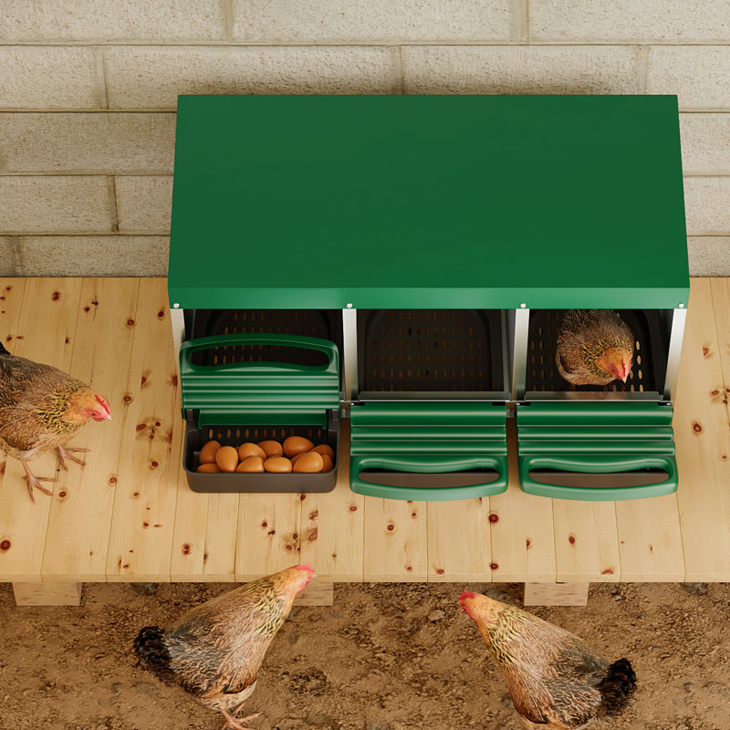 Bring Home Furniture Chicken Nesting Boxes with 3 Compartments for ...