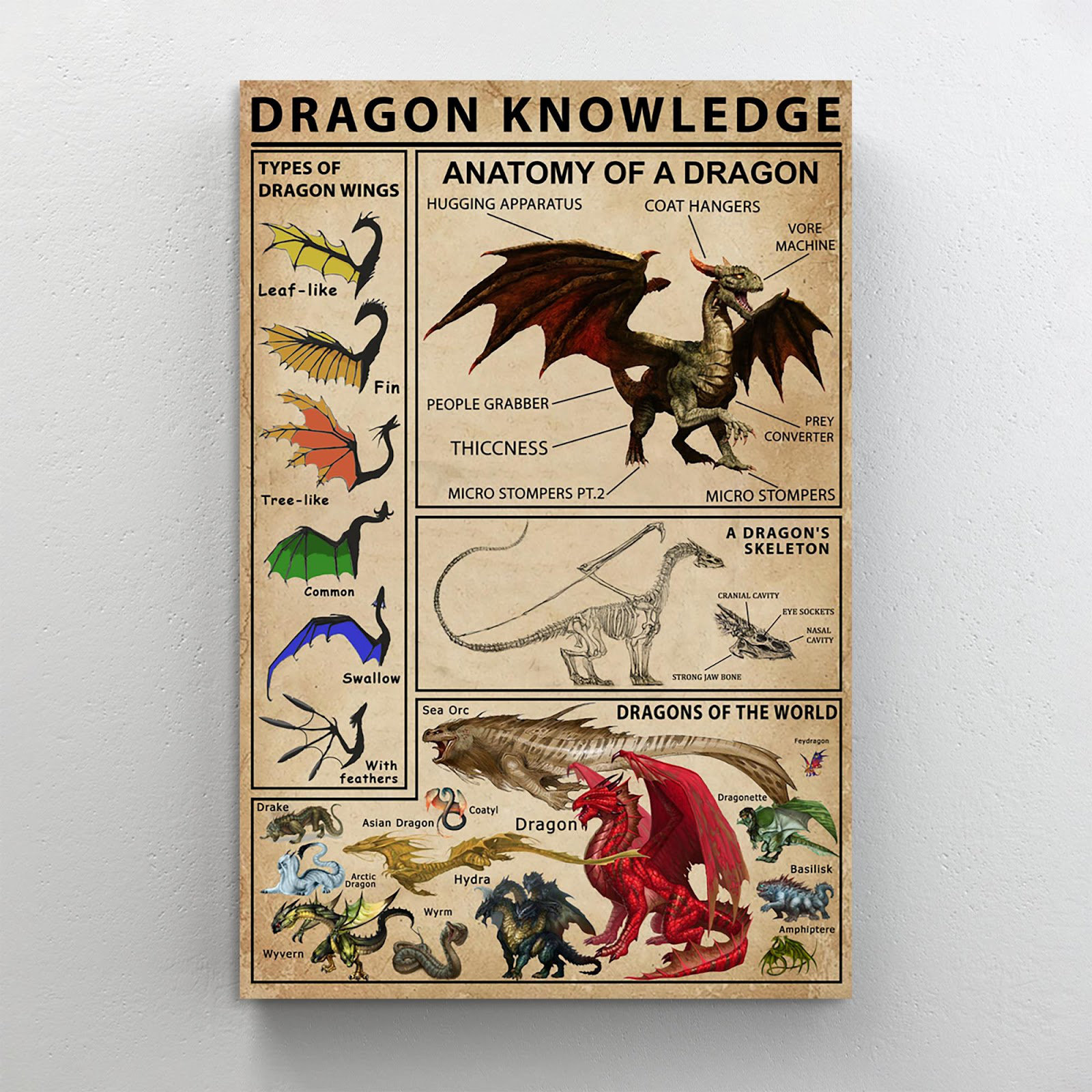Trinx Dragon Knowledge - 1 Piece Rectangle Graphic Art Print On Wrapped ...