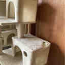 Archie & Oscar™ Timmins 78.3" Multi-Level Cat Tree with Cat Scratching ...