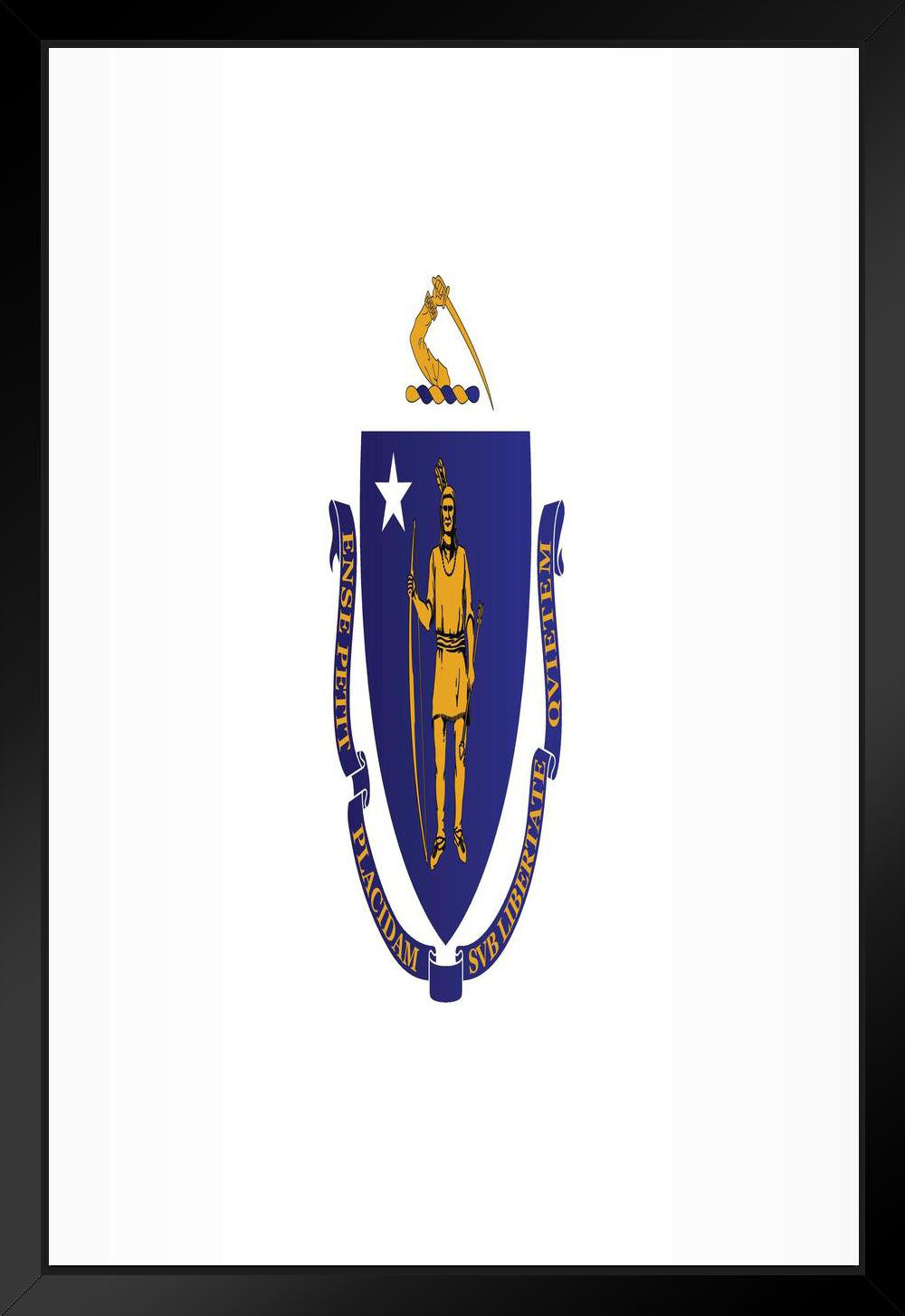 Red Barrel Studio Massachusetts State Flag Boston Cape Cod Marthas ...