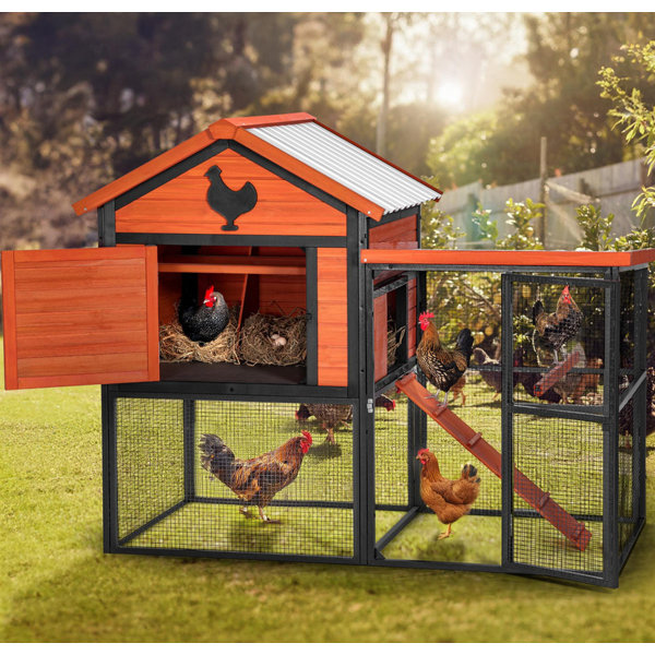 Tucker Murphy Pet™ Durable Wood and Iron Chicken Coop with Runway and ...