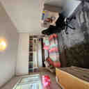 Wade Logan® Amylah Upholstered Twin Daybed & Reviews | Wayfair