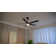 Wrought Studio Kaveesh 60'' Ceiling Fan with LED Lights | Wayfair