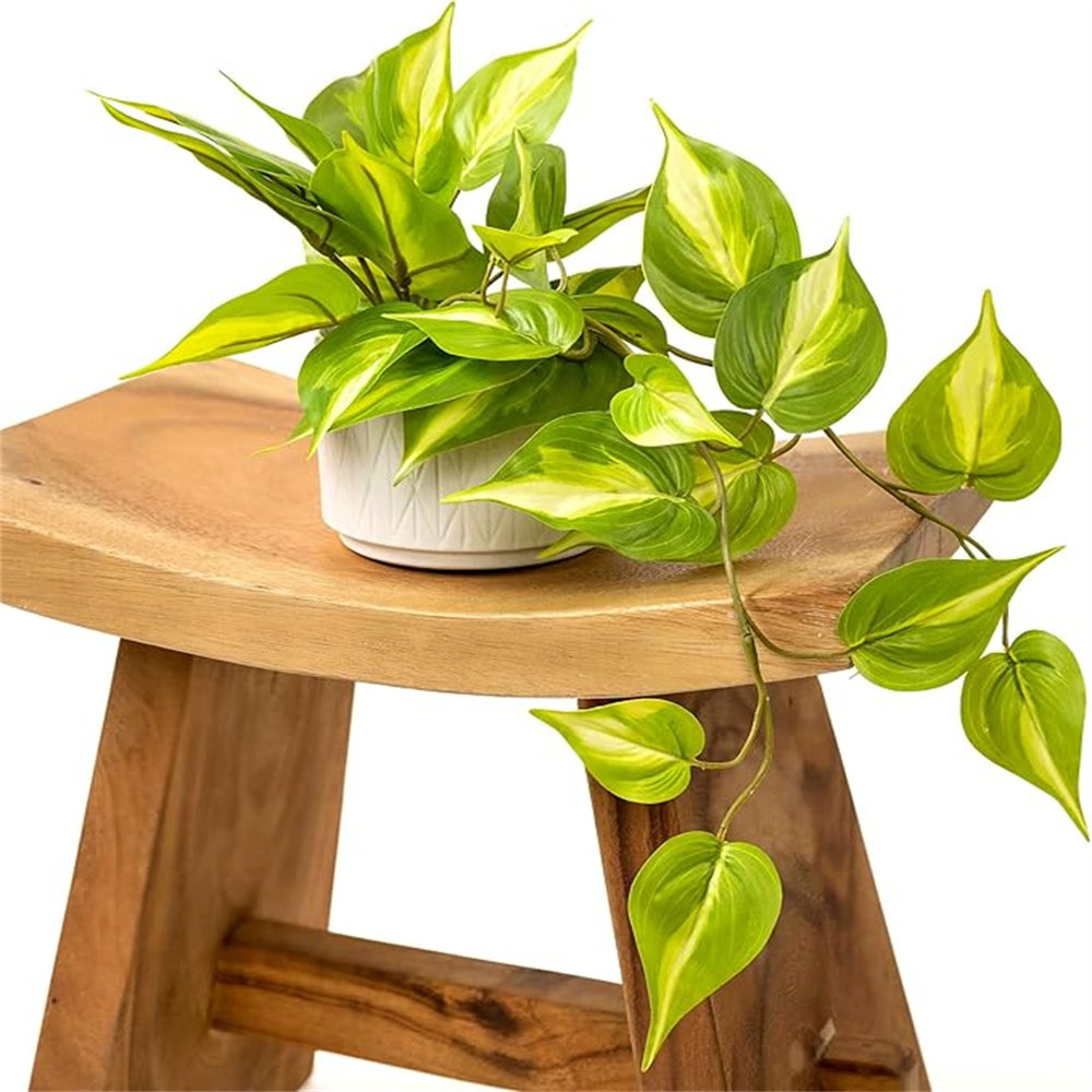 Primrue Farmhouse Fake Pothos Plant | Fake Plant For Shelf Decor |14 ...
