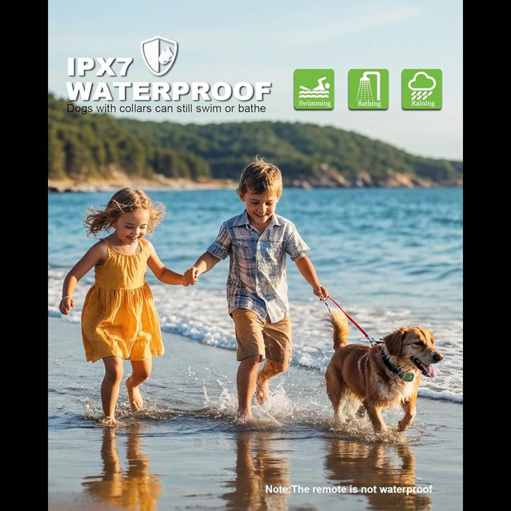 Invenitiah Portable Static Dog Training Collar | Wayfair