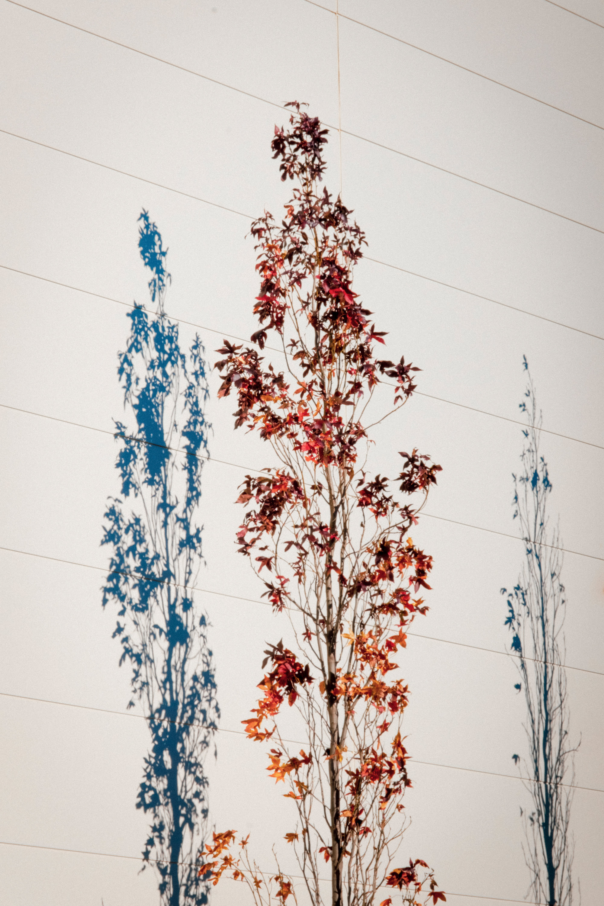 Winston Porter " Bright Grass " by J:L Design | Wayfair