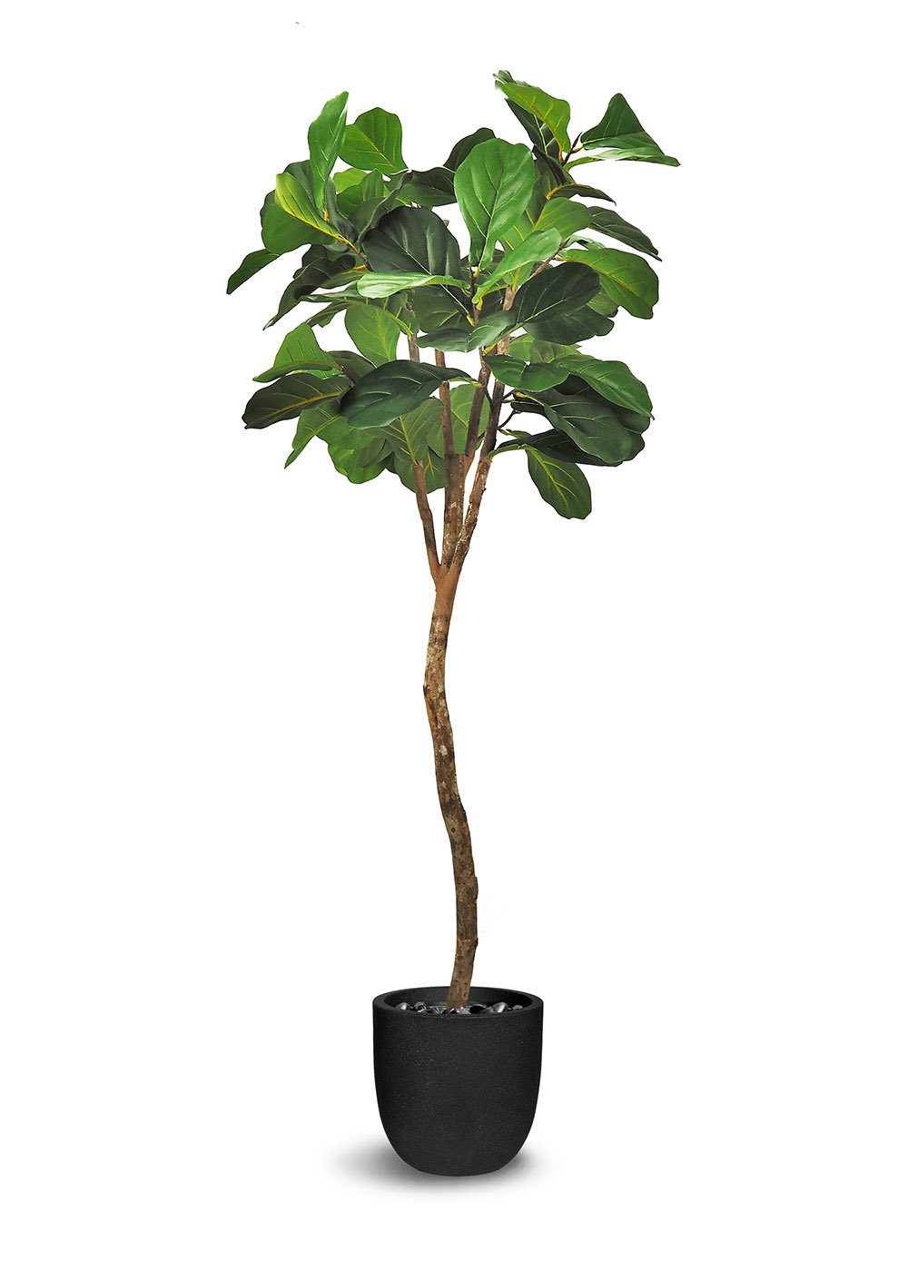 Bayou Breeze Faux Botanical Fiddle Leaf Fig in Green Finish 72" Height ...