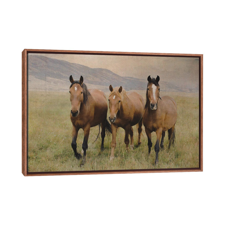 Gracie Oaks Three Friendly Mustangs by Rhonda Thompson - Floater Frame ...