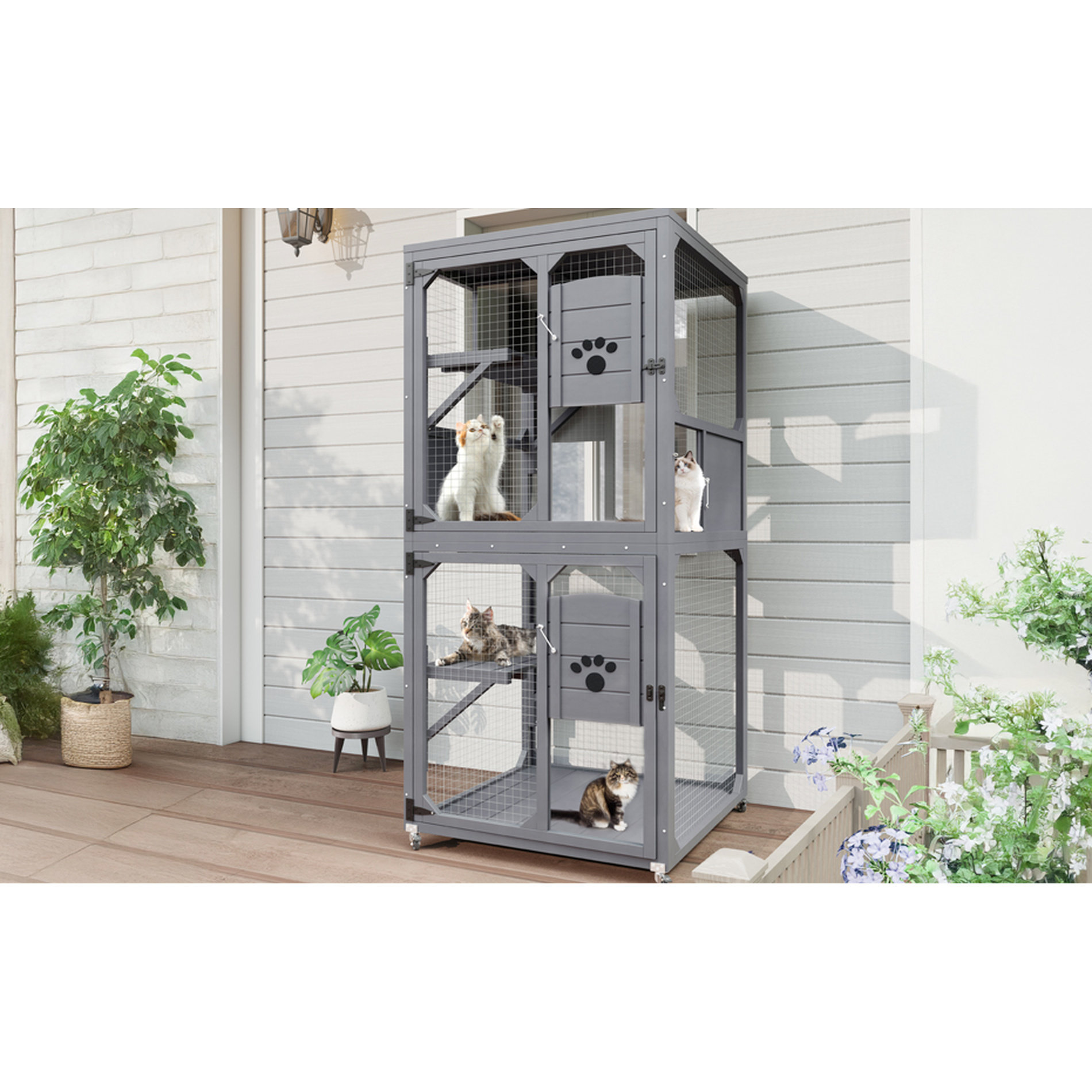 Tucker Murphy Pet™ 4 - Cat Cage With Window Connection, Roof, 3 Jumping ...