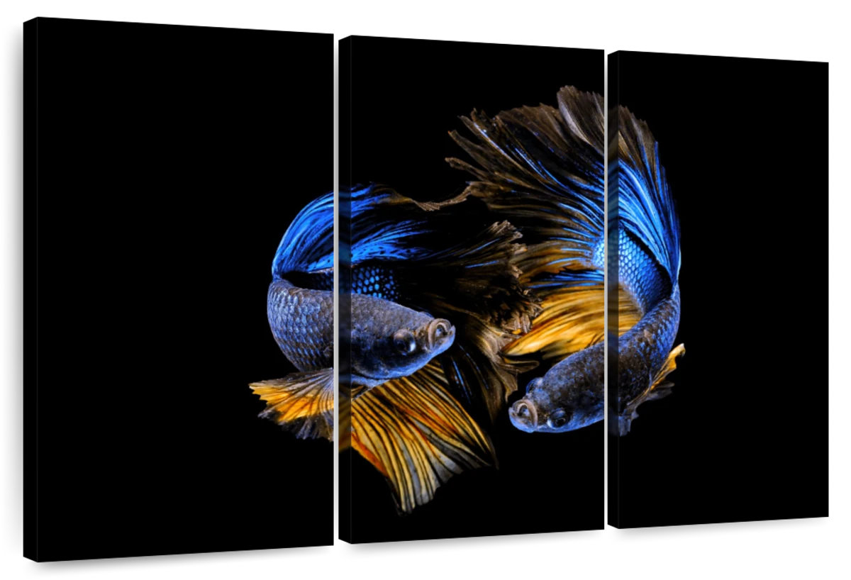 Ebern Designs Brampt Neon Betta Fish | Wayfair