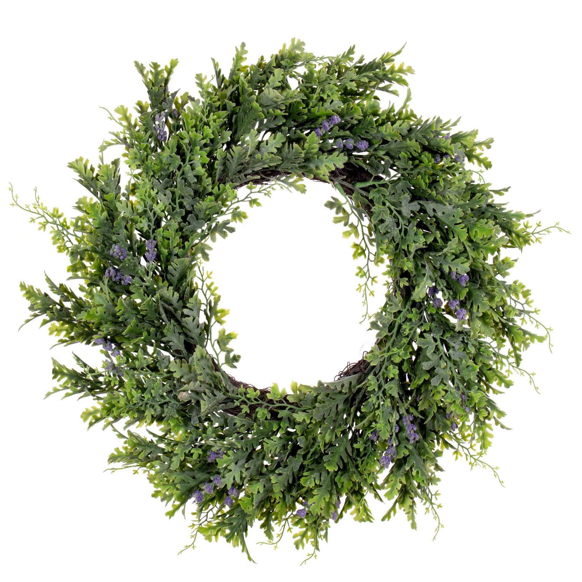 Primrue Senecio Cineraria 18" PVC Wreath | Wayfair