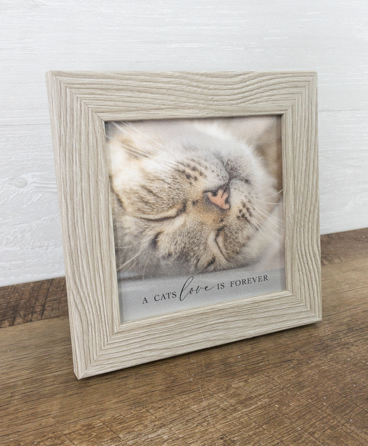 Trinx A Cat's Love Is Forever Kitten Pet Framed On Paper Textual Art ...