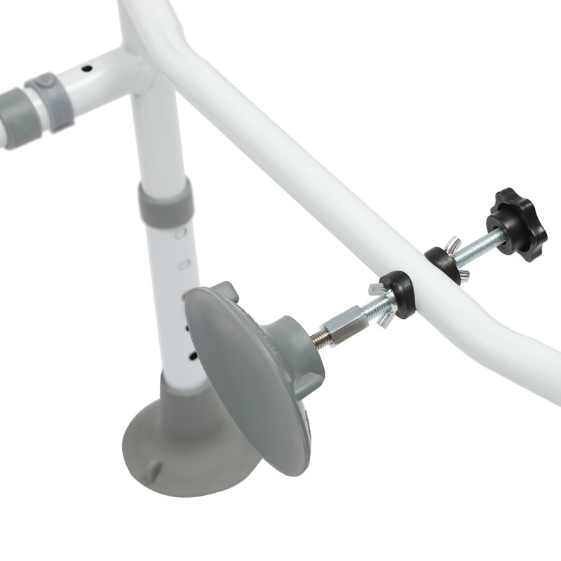 Lomana Toilet Safety Frame & Reviews | Wayfair