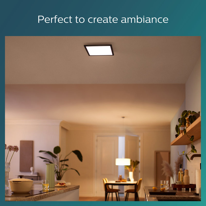Philips Lighting Philips LED Panel Square Ceiling Light 12W | Wayfair.co.uk
