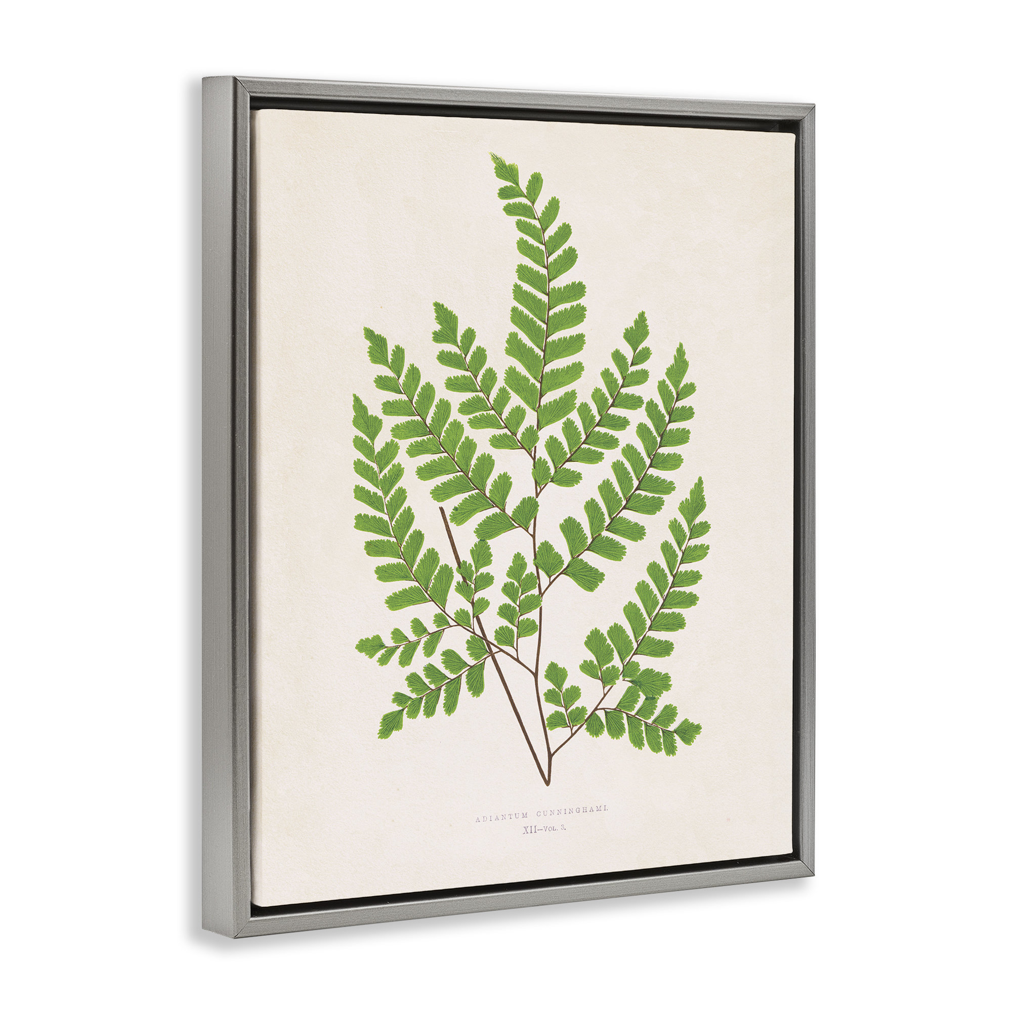 August Grove® Woodland Sprigs Study Floating Frame, design by Phillipa ...