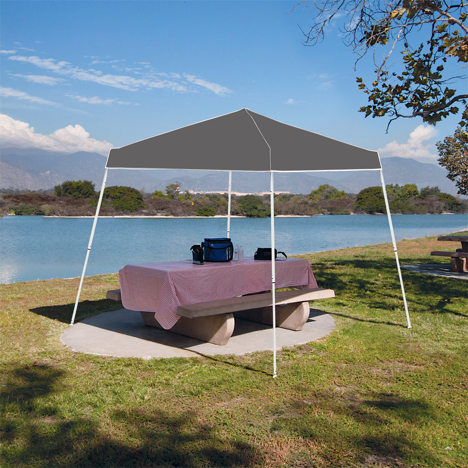 Z-Shade Angled Leg Taffeta Peak 10 Ft. W x 10 Ft. D Steel Pop-Up Canopy ...