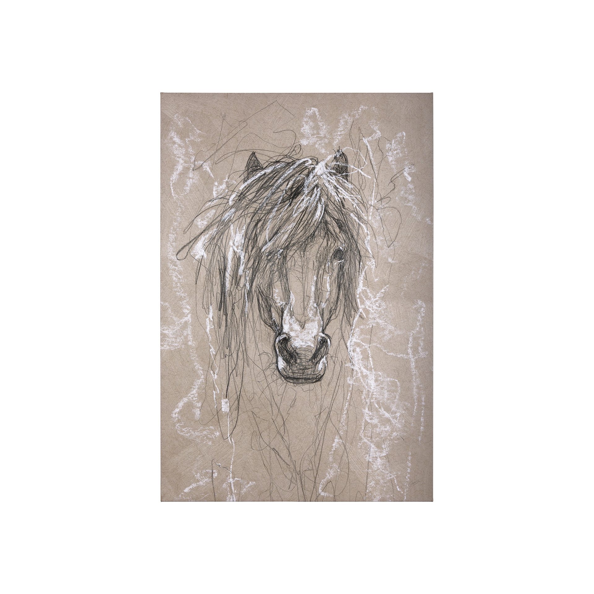 Foundry Select Sketch of Animal VI (Pony) - Wrapped Canvas Print | Wayfair
