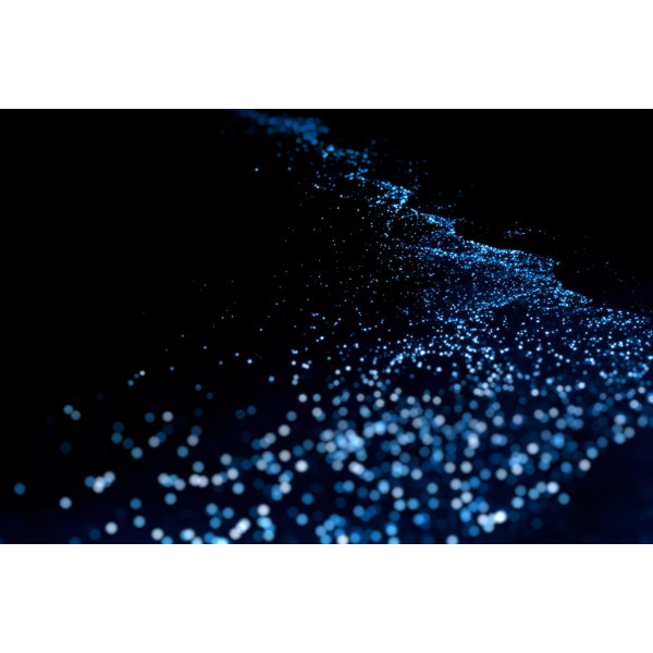 Ebern Designs Bio Luminescence. Illumination of Plankton at Maldives ...