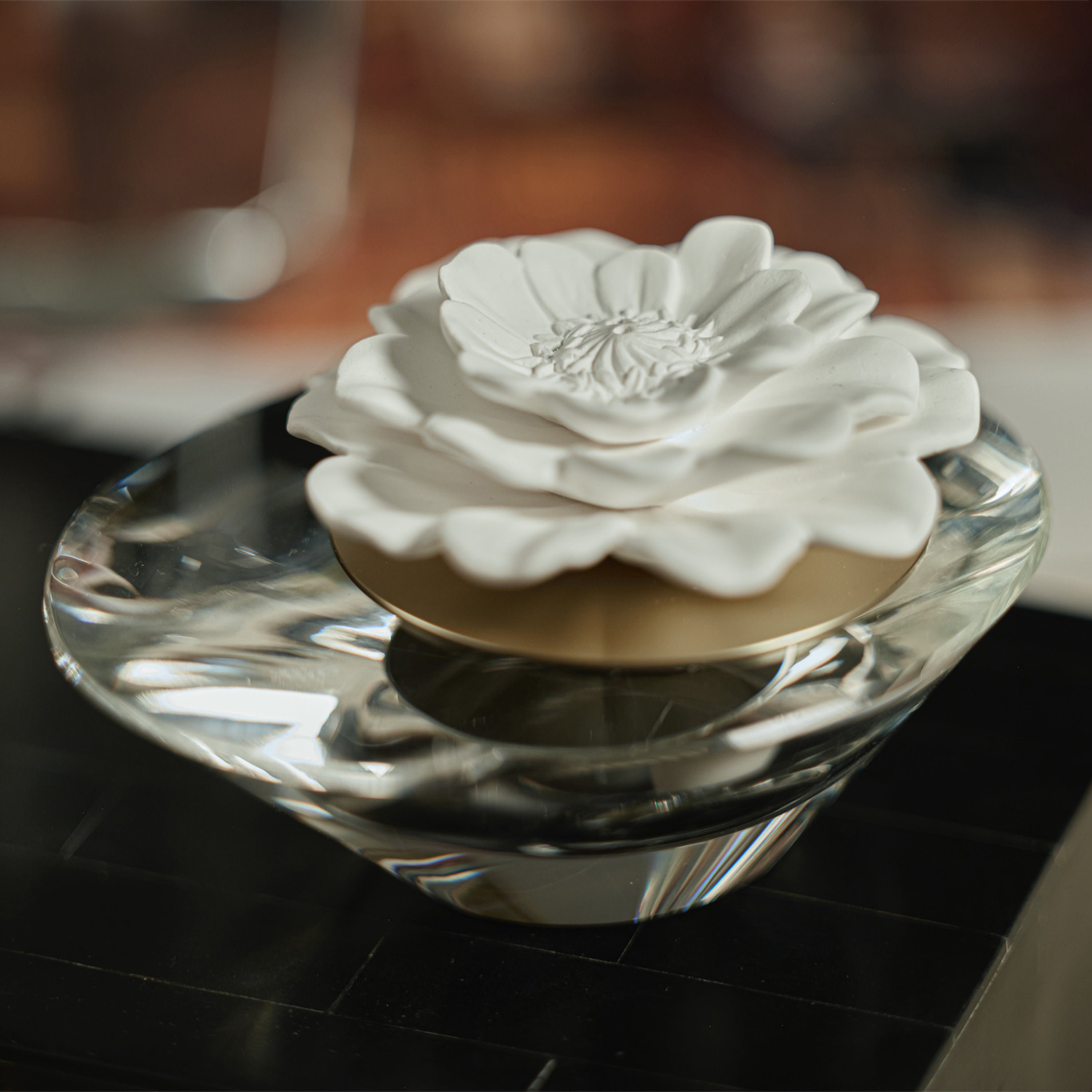 Zodax Dream Mini- Crystal Edition Porcelain Diffuser, Fig Vetiver ...