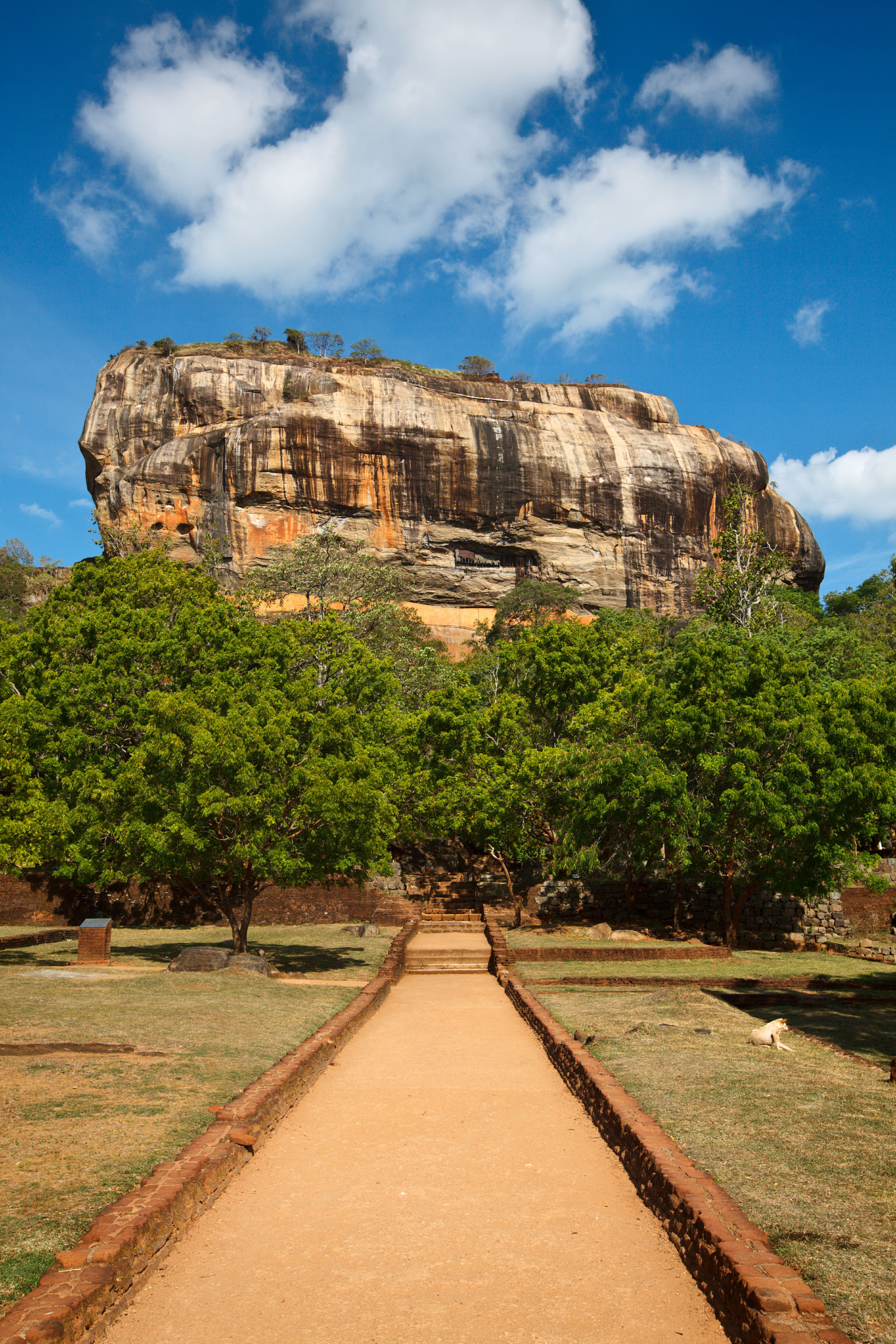 Ebern Designs Sigiriya Rock by - Wrapped Canvas Photograph - Wayfair Canada